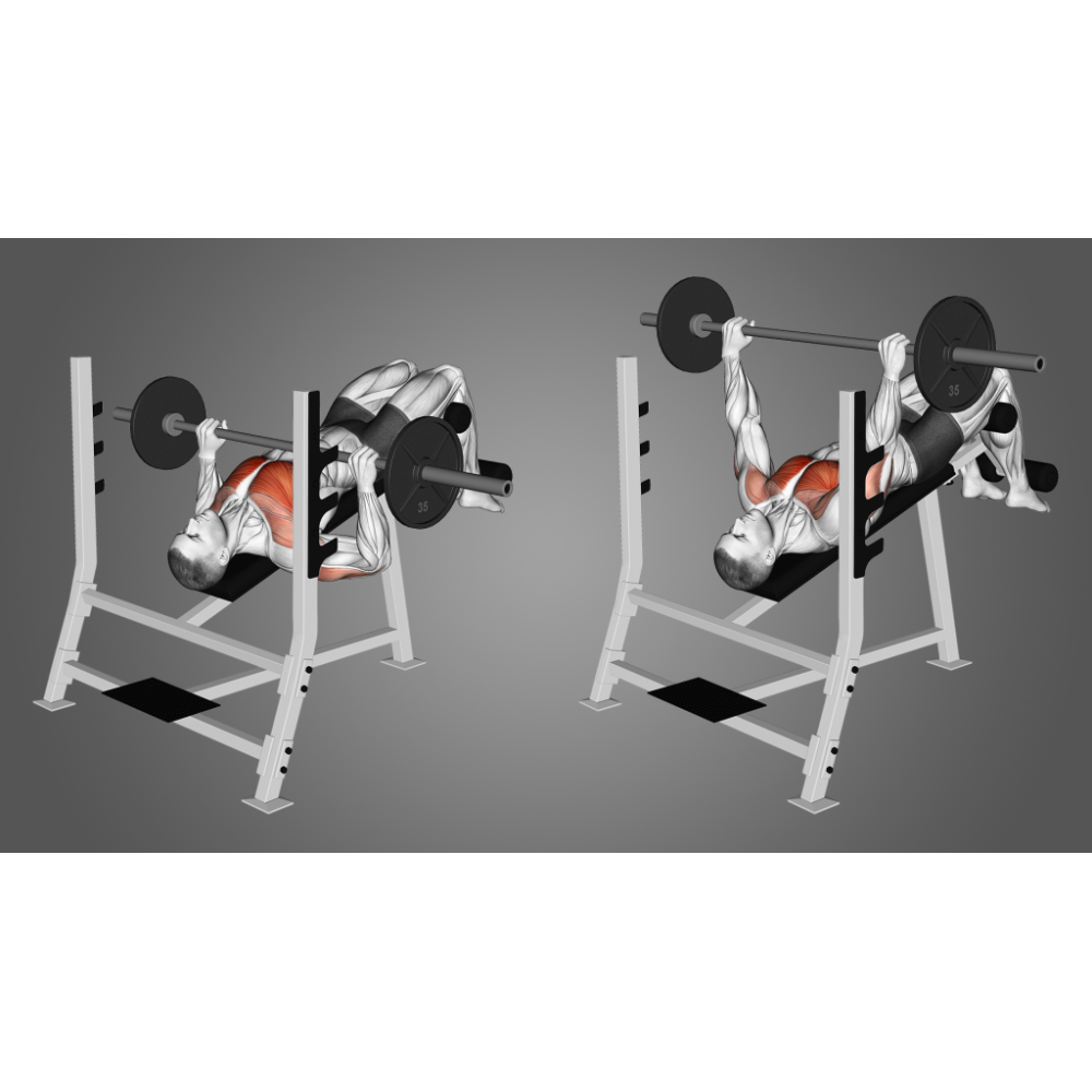 Decline Olympic Bench ( Commercial ) - Home Gym Equipments